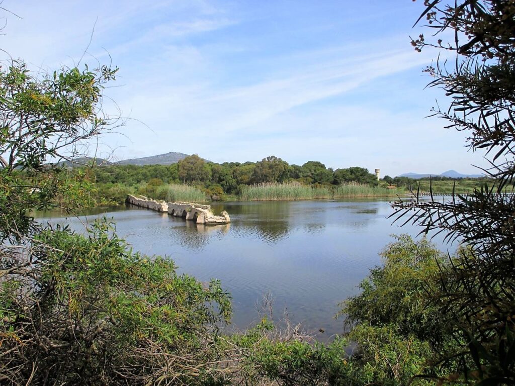 Stagno-laguna di Calich - Sardegna Country. Visita la Sardegna