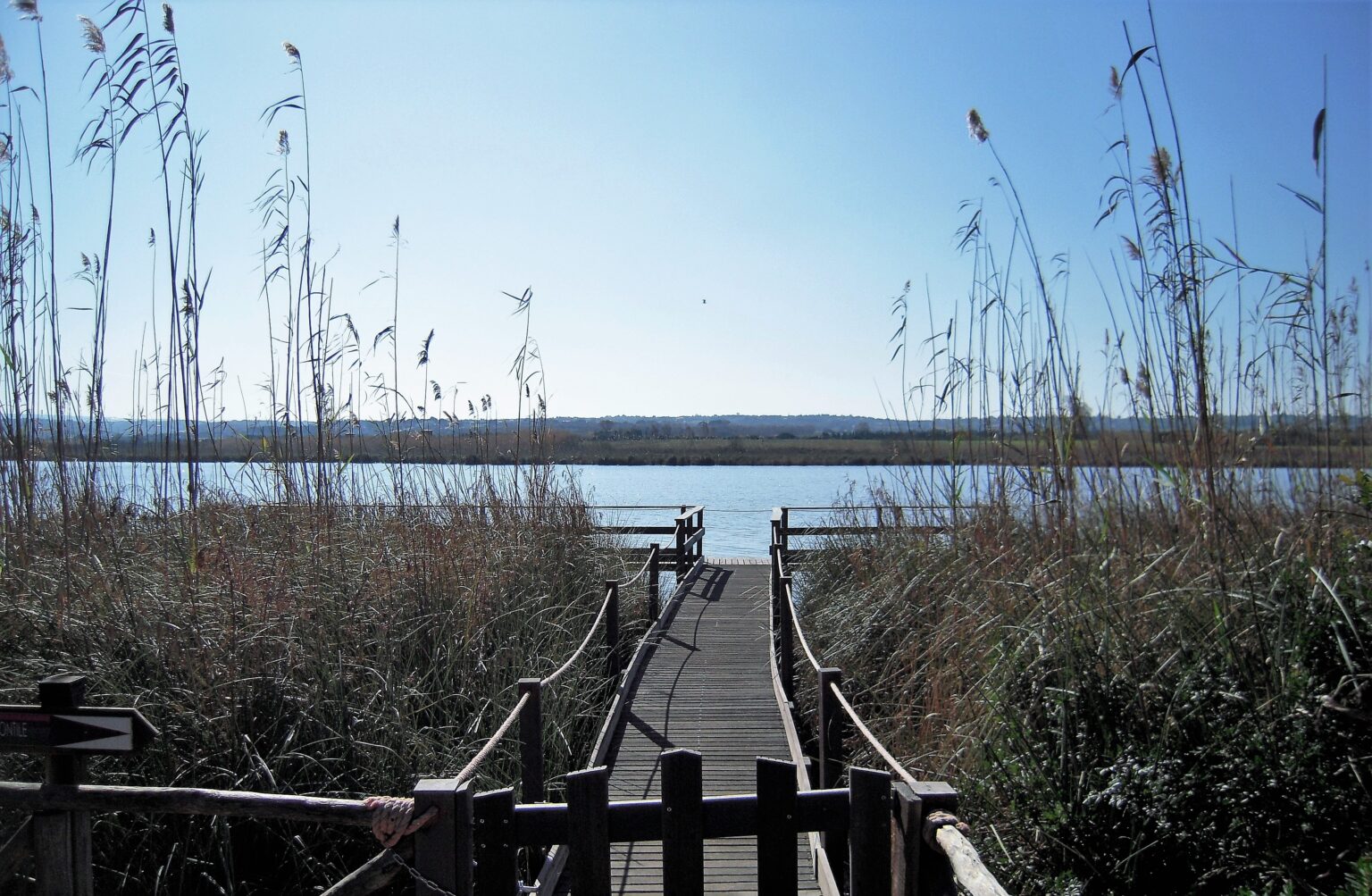 Stagno e ginepreto di Platamona - Sardegna Country. Visita la Sardegna